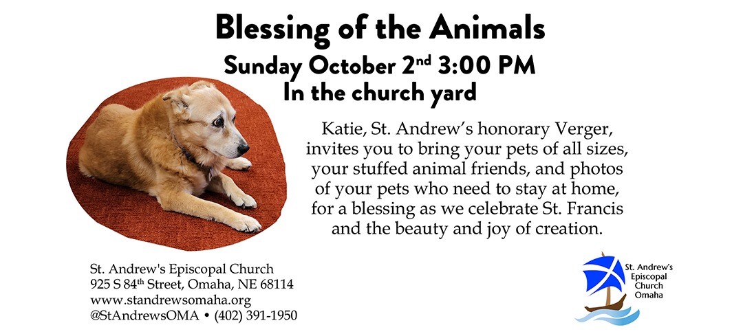 Blessing of the Animals Sunday October 2nd 3:00 PM - St. Andrews ...