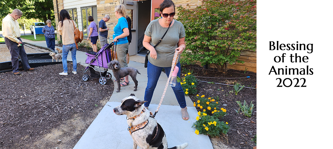 Why Do We Bless Our Pets? - St. Andrews Episcopal Church Omaha
